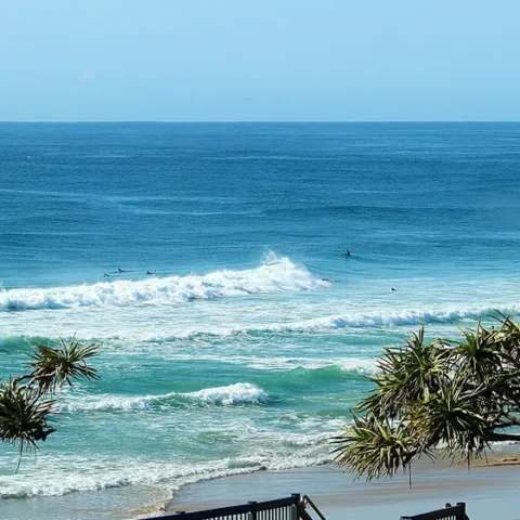 Flat Rock Tent Park | Book A Site | Ballina Camping