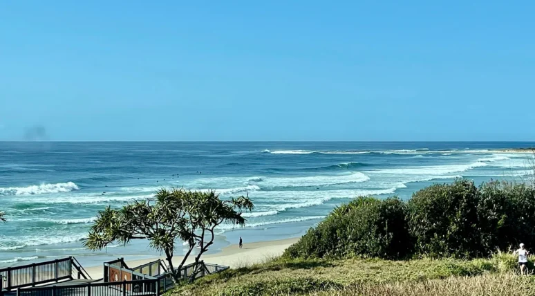 Flat Rock Tent Park | Book A Site | Ballina Camping