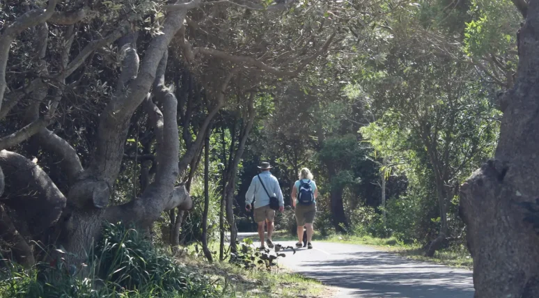 Flat Rock Tent Park | Book A Site | Ballina Camping